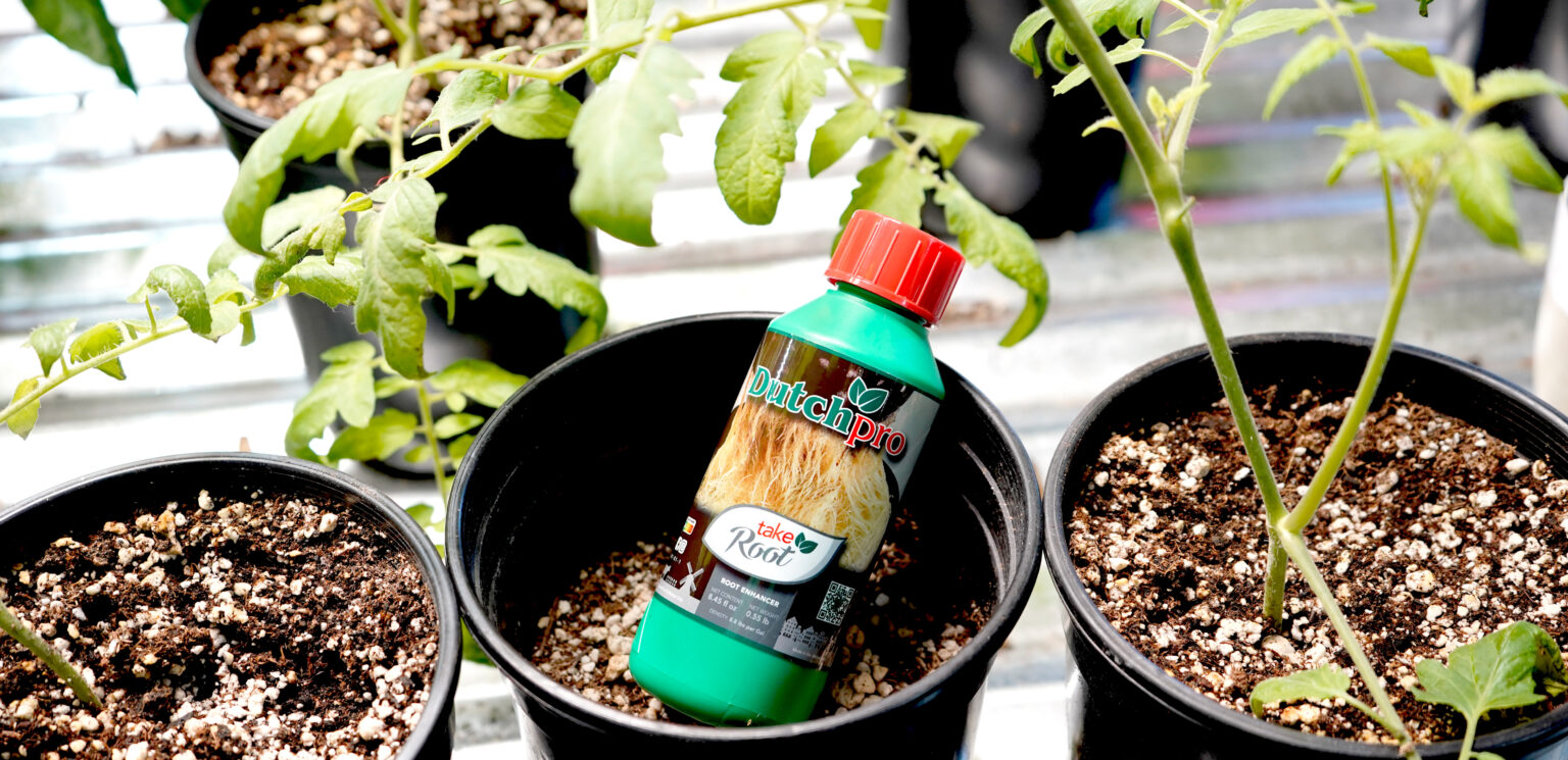 Take Root - Dutchpro USA