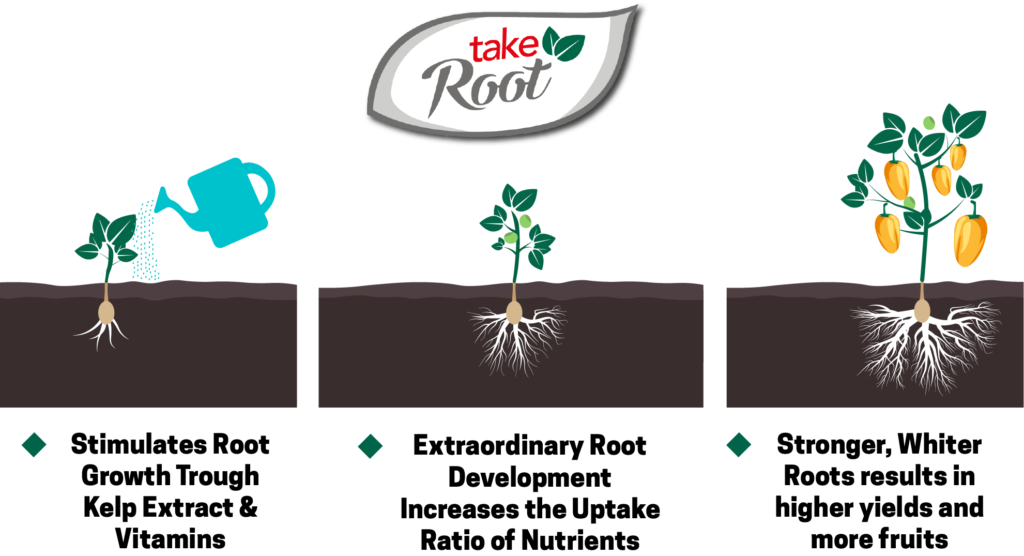 Take Root - Dutchpro USA