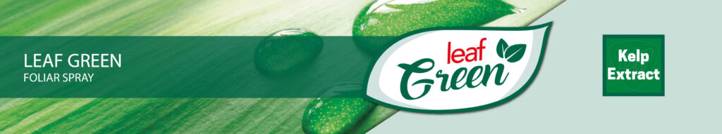 Leaf Green - Foliar Spray - Dutchpro USA