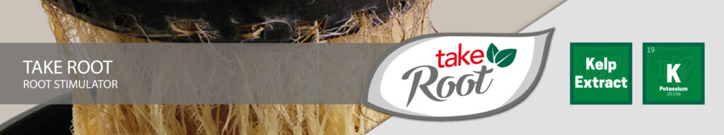 Take Root - Dutchpro USA