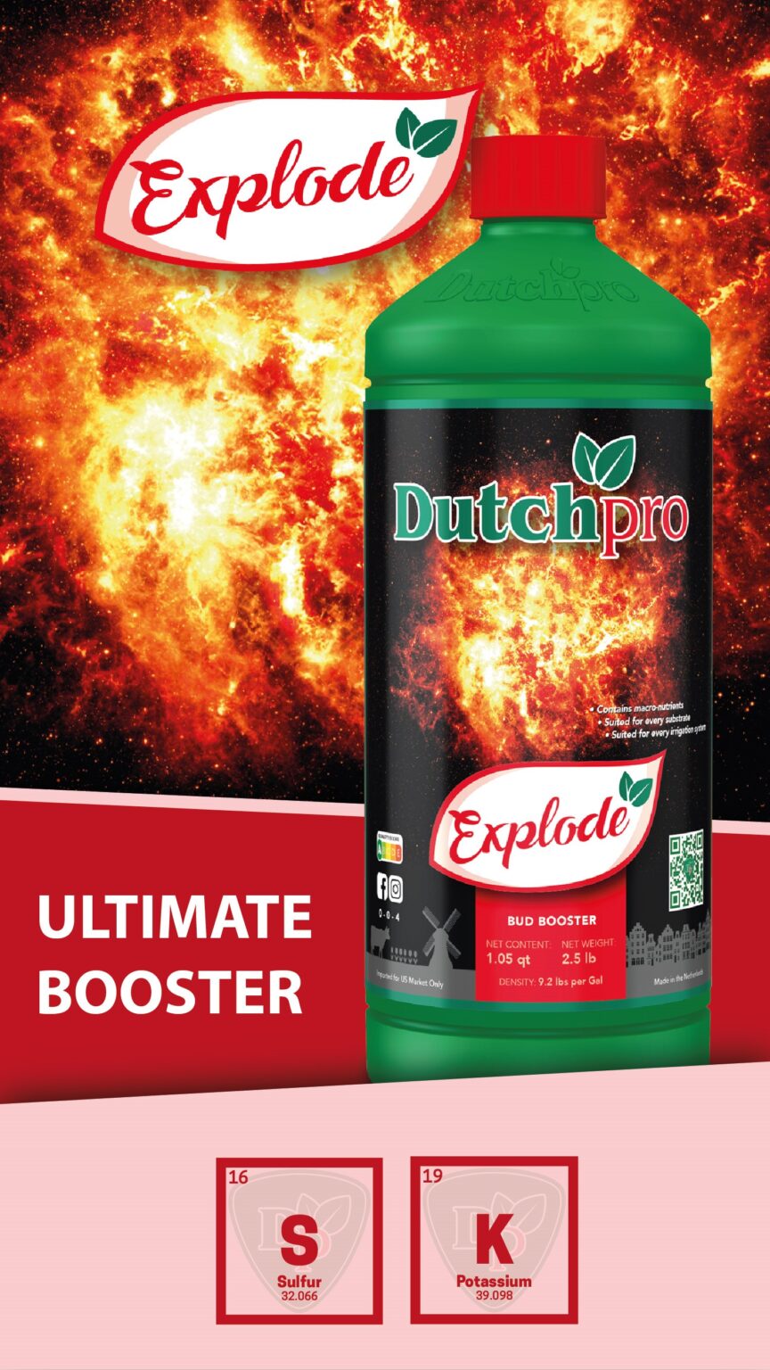 Explode Bud Booster - Dutchpro USA