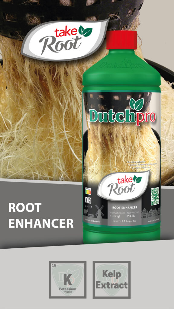 Take Root - Dutchpro USA
